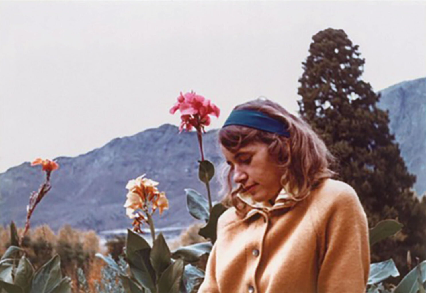 Ingrid Jonker | ellerströms förlag